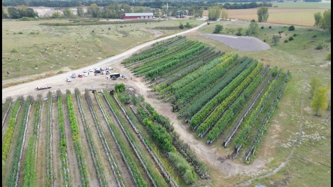 Successful Steps: Reclaimed Milestone quarries offer glimpse at unique ...