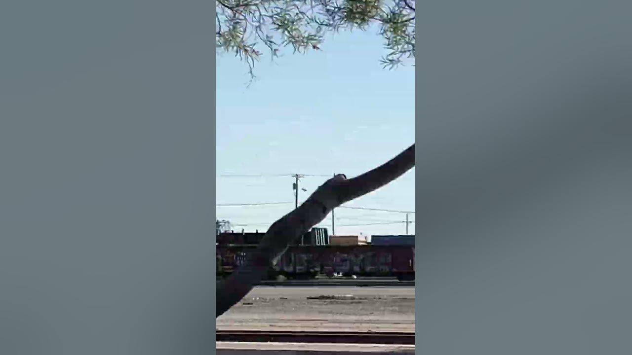 Another ex southern pacific geep - YouTube