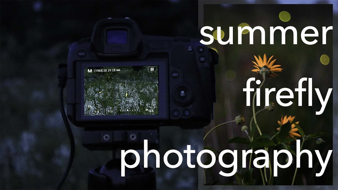 Fireflies in the Landscape: A Midwest Summer Night’s Dream - YouTube