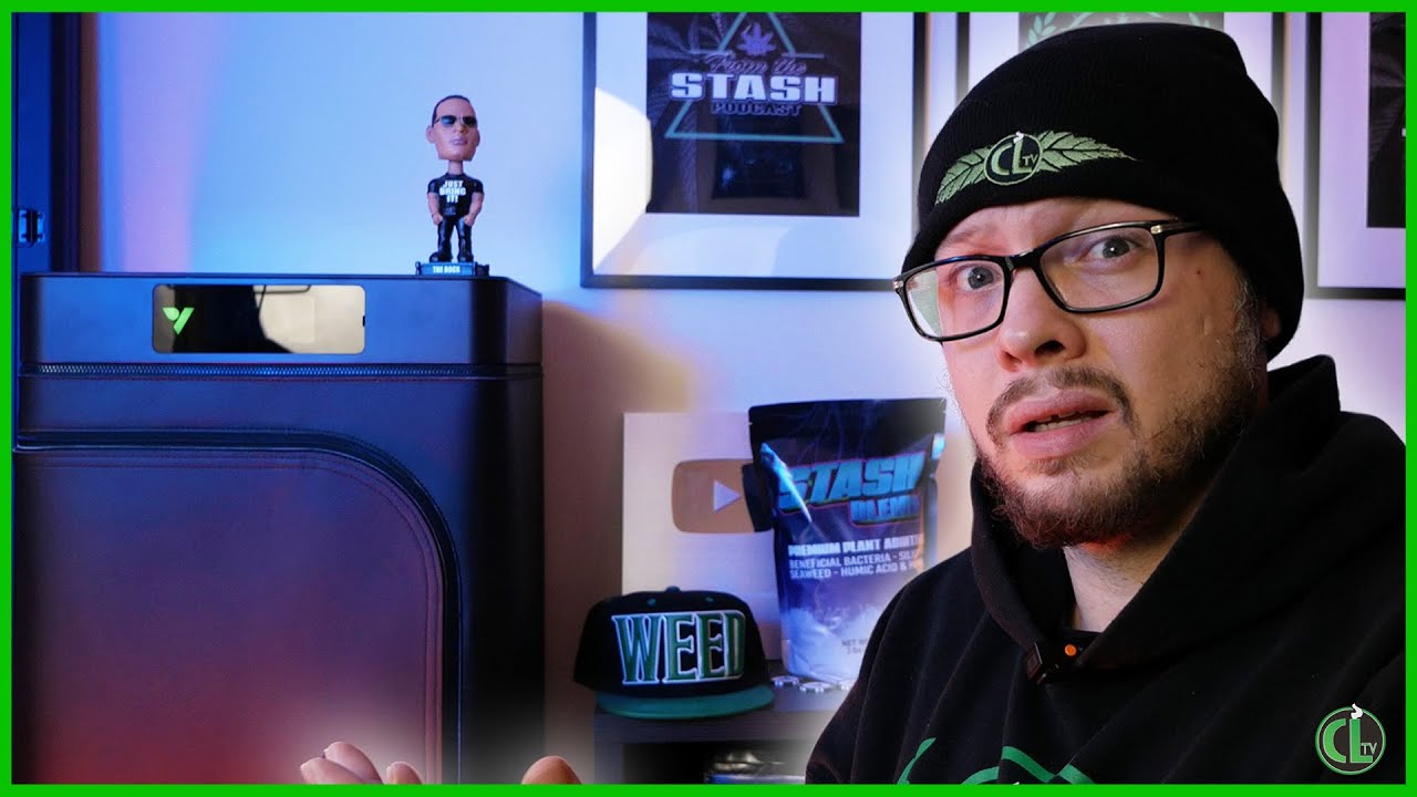 What's Growing in This VGrow Smart Grow Box? - YouTube