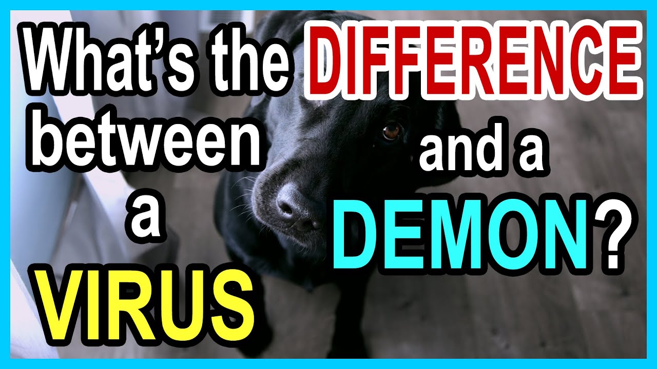 The DIFFERENCE between a VIRUS and a DEMON! - YouTube