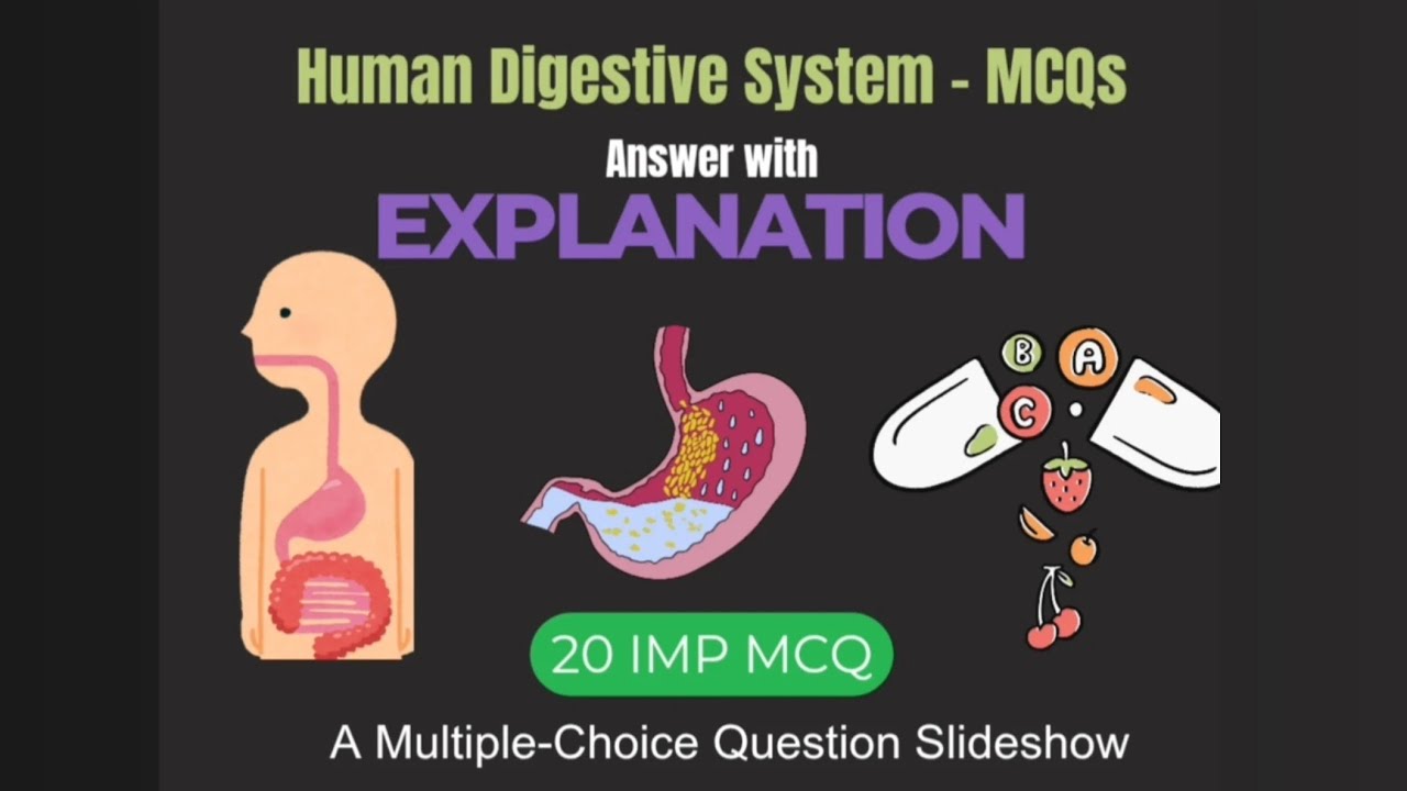 Digestive system of human body | Nursing mcq | staff nurse exam ...