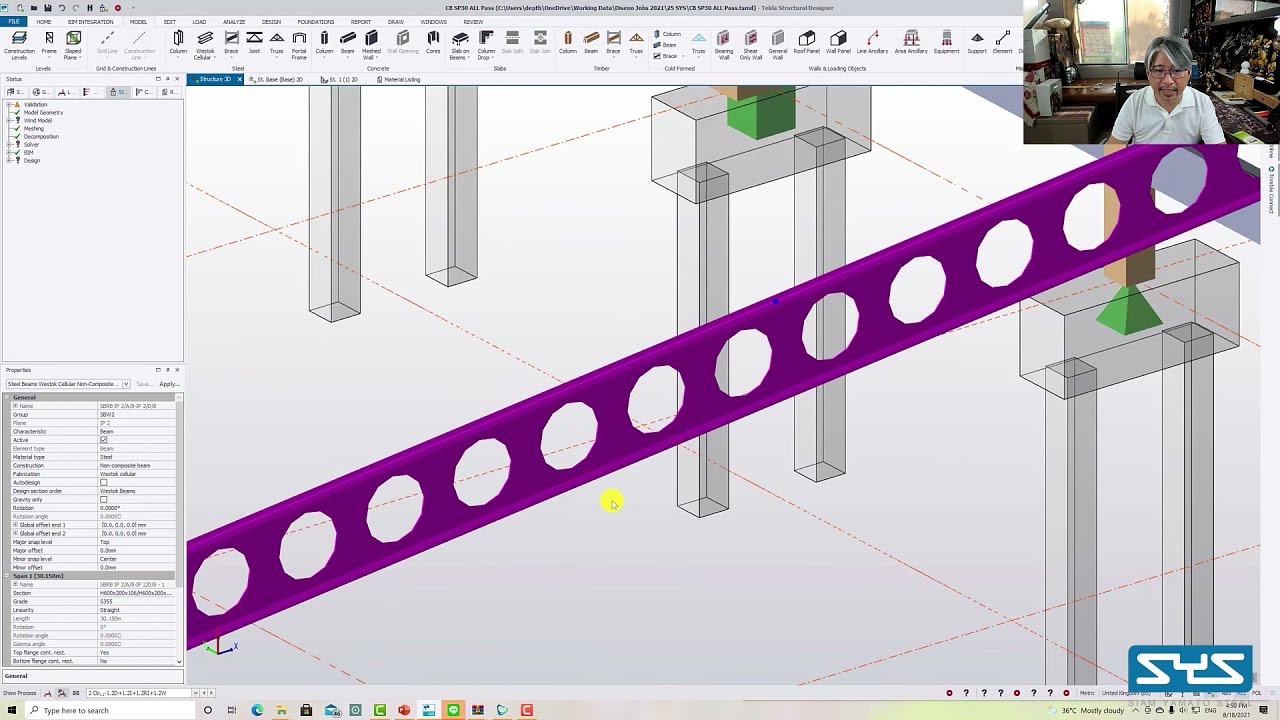 Cellular Beam Design Workshop - YouTube