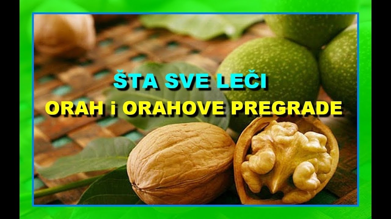 ŠTA SVE LEČI ORAH i ORAHOVE PREGRADE - YouTube