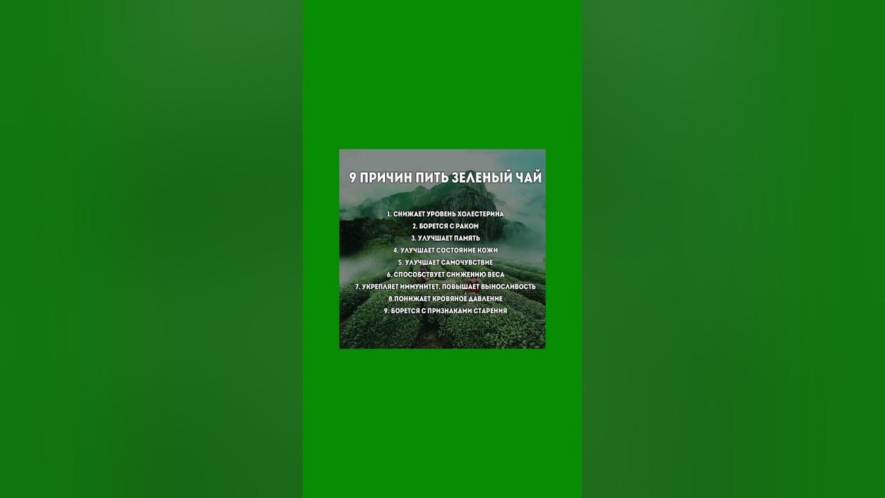 9 причин пить зеленый чай зеленыйчай полезнознать польза здоровье