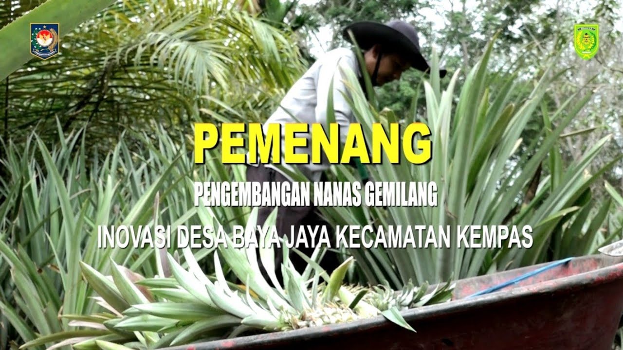 "PEMENANG" PRODUK INOVASI DESA BAYAS JAYA KECAMATAN KEMPAS KABUPATEN ...