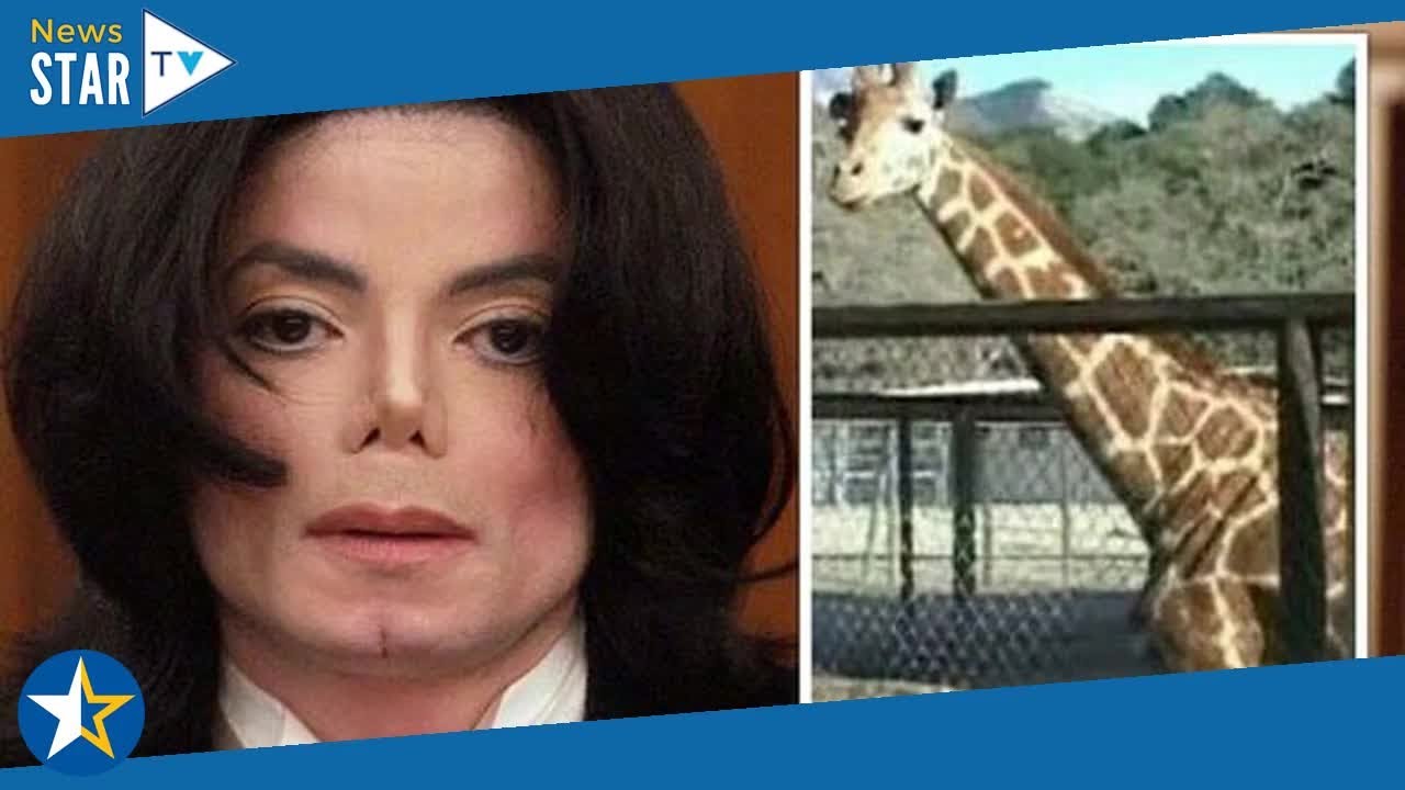 Michael Jackson’s horrific animal abuse exposed including giraffe neck ...