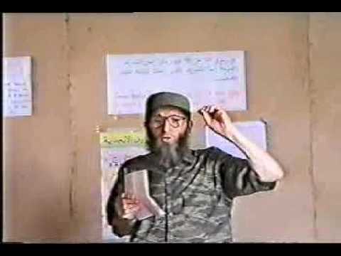 Наказание и вознаграждение