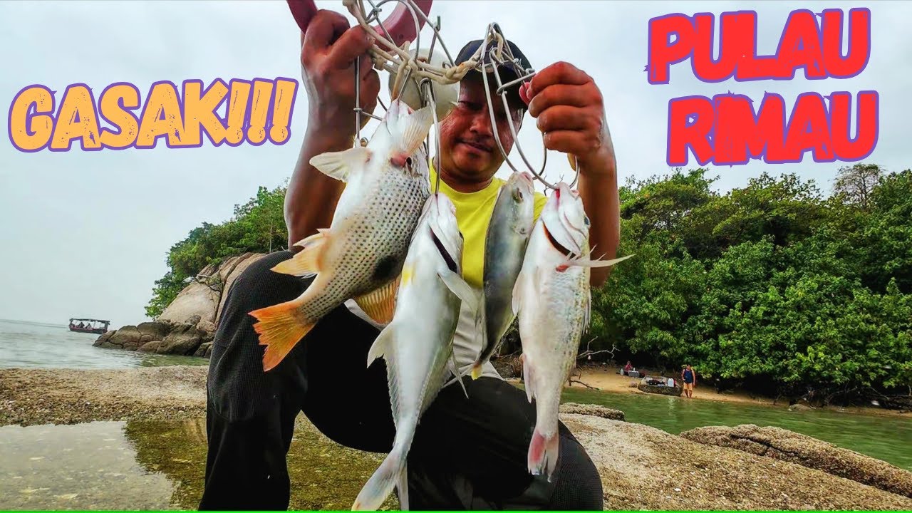 Gasak Menebing Selepas Hari Raya di Pulau Rimau | Penang Ultralight ...