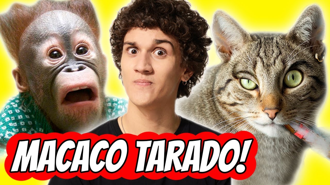DEU A LOUCA NOS MACACOS! - YouTube