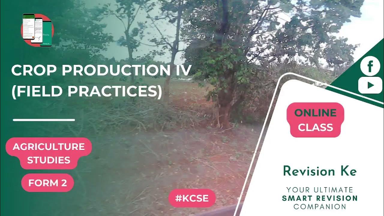 Crop Production IV (Field Practices) | Intro | Agriculture Form 2 Revision KCSE - YouTube