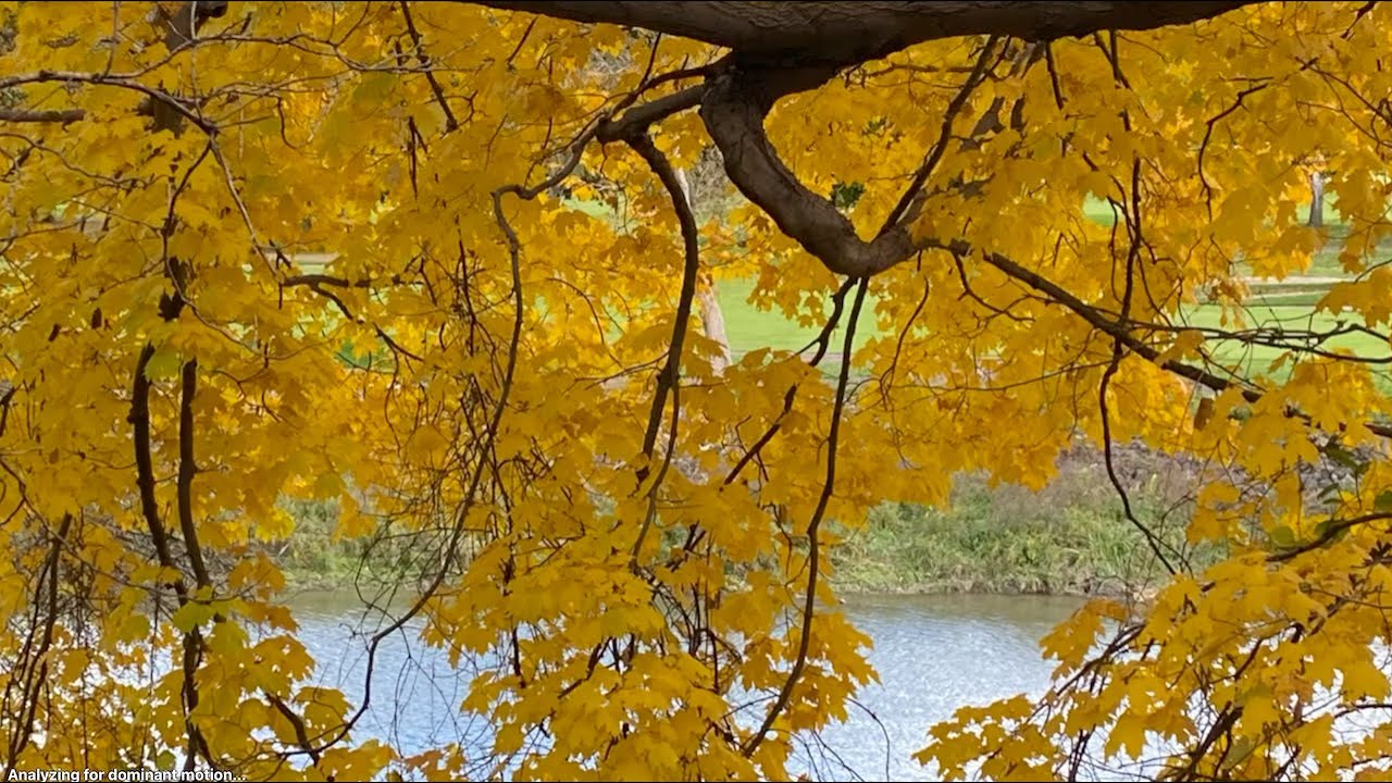 Relaxing Piano Music with Beautiful Autumn Scenes • Soothing Music for ...