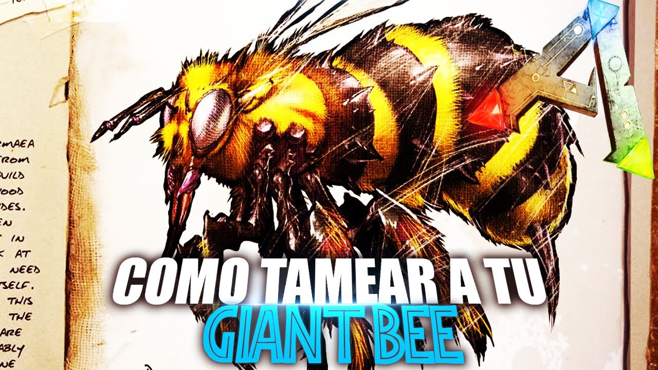 COMO TAMEAR A TU GIANT BEE | Guia Español | Ark: Survival Evolved - YouTube