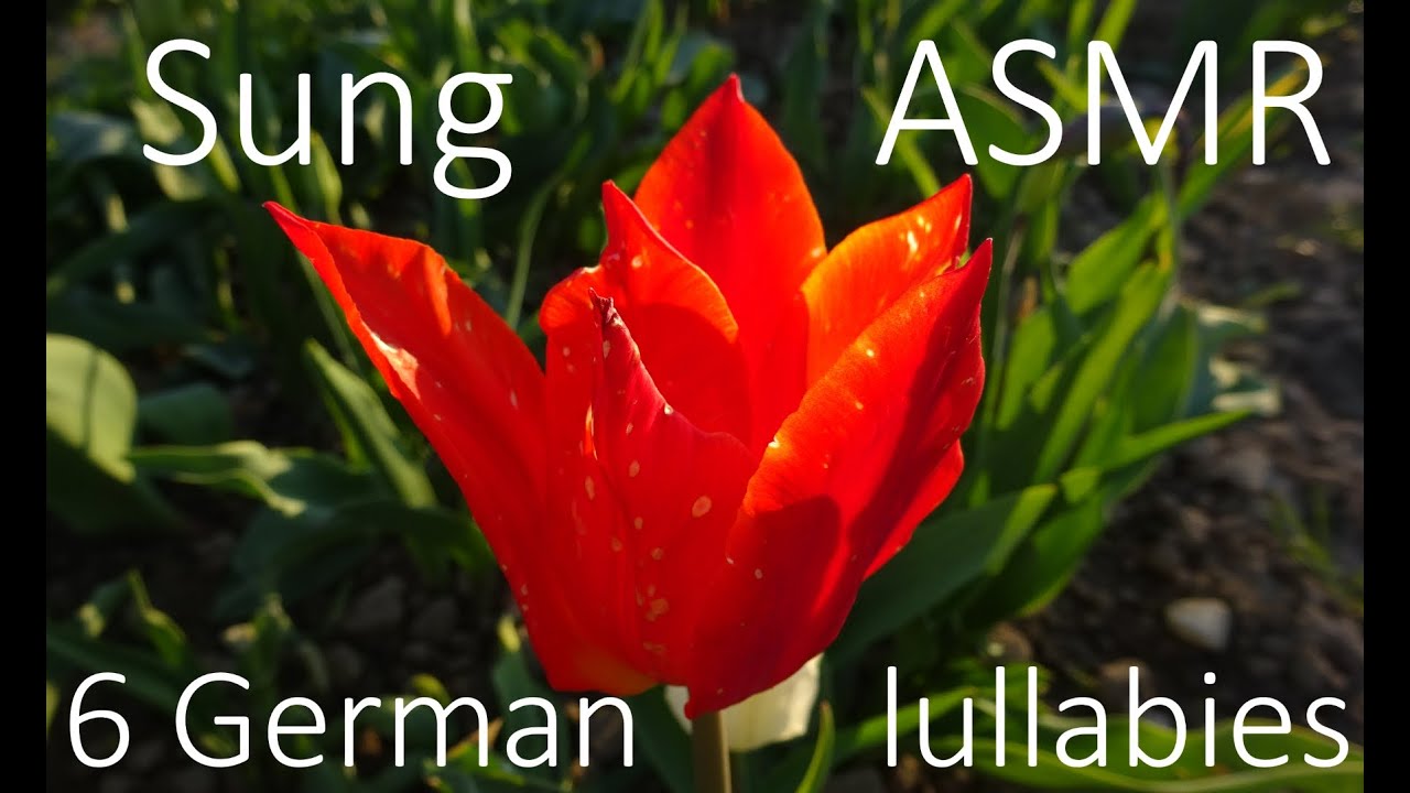 ASMR Ear2ear 6 German Lullabies ~ Deutsche Schlaflieder - YouTube