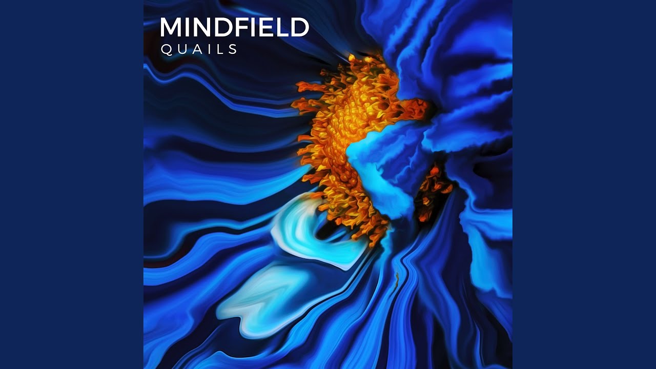 Mindfield (Remix) - YouTube