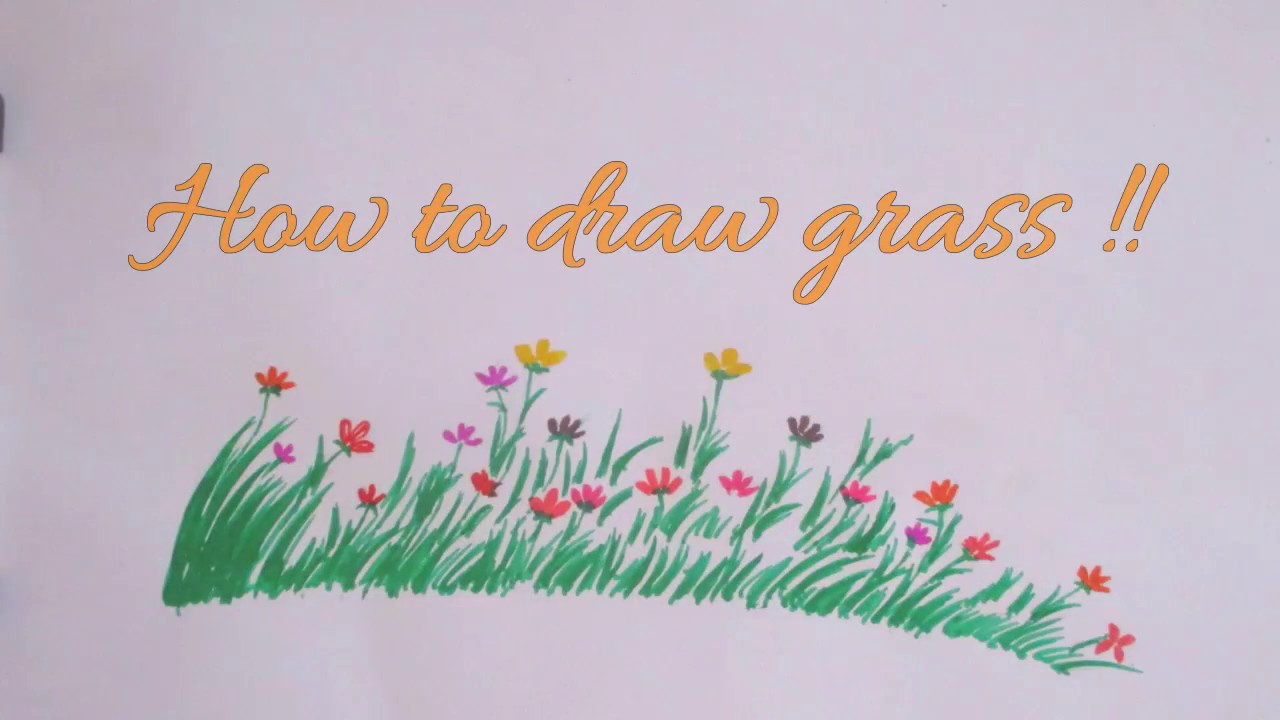 How To Draw Grass Flower Scenery Drawing Channel 46 YouTube how-to-draw-grass-flower-scenery-drawing-channel-46-youtube