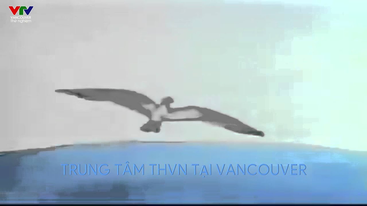 VTV Vancouver (Vietnam Television center at Vancouver) sign-on and sign ...