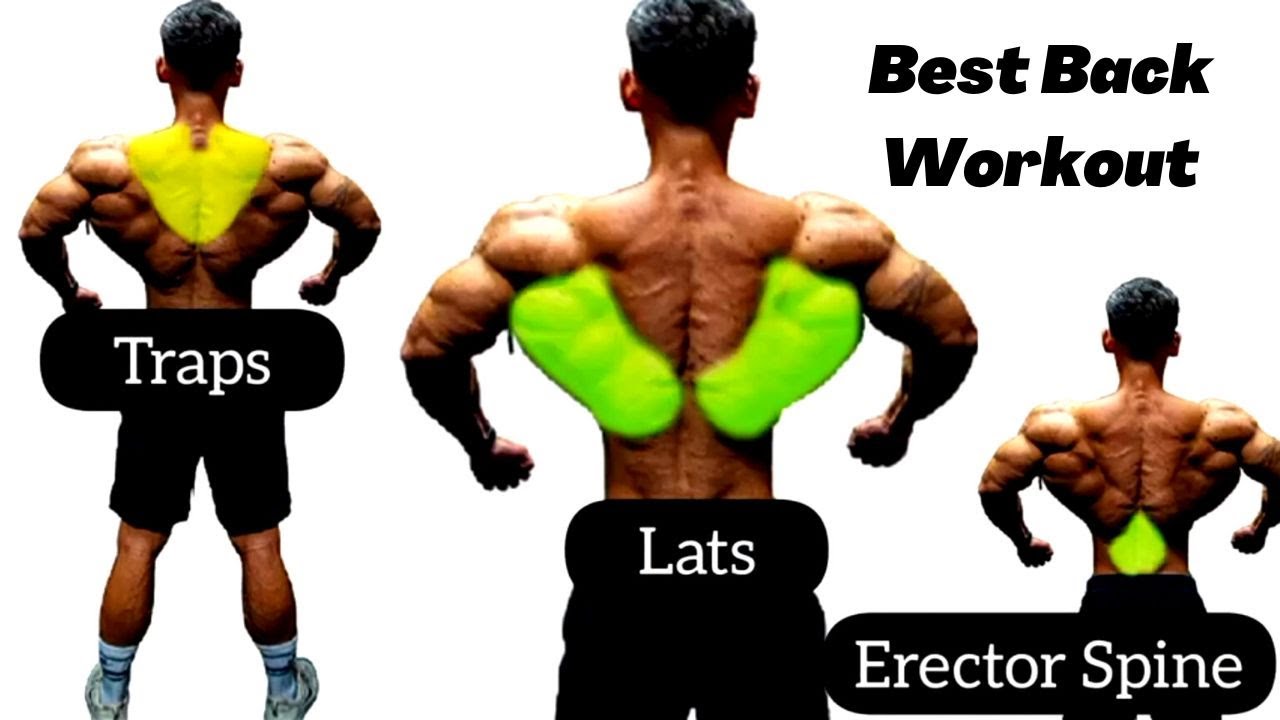 Back Lats Workout Tips to get the best of your back - YouTube