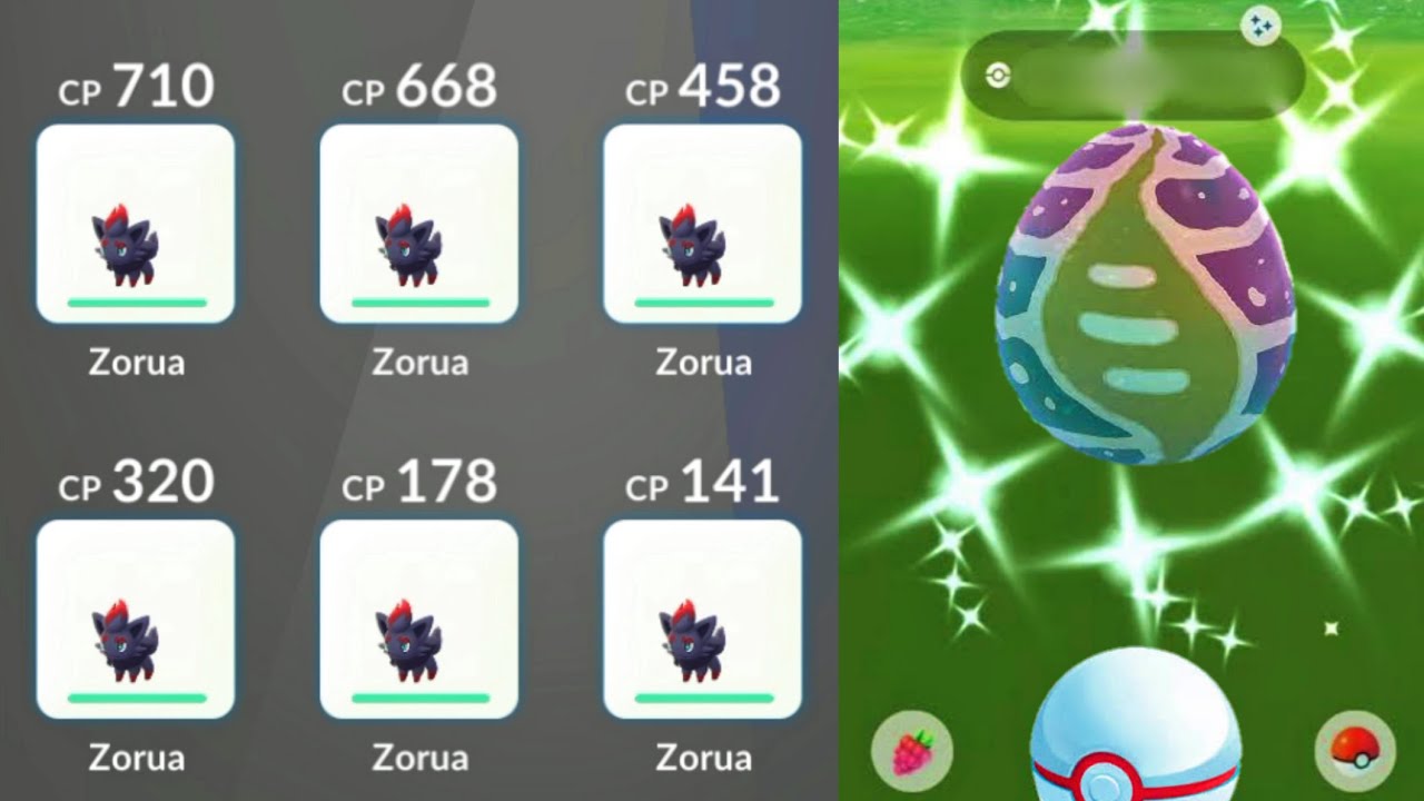 🤩omg! Zoruas gave me Shiny LEGENDARY...(PokemonGo) - YouTube
