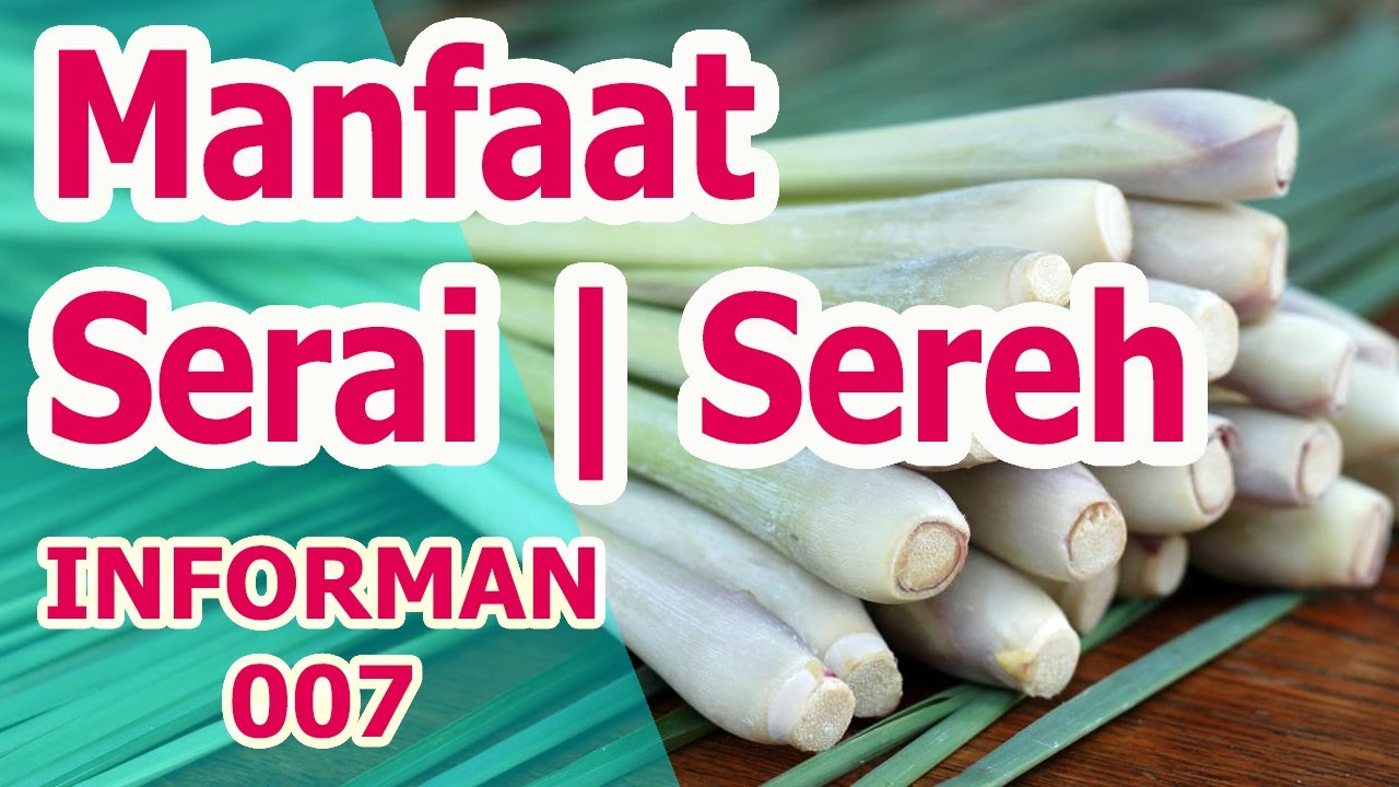 Manfaat Serai Untuk Kesehatan yang Sangat Luar Biasa | Manfaat Air ...