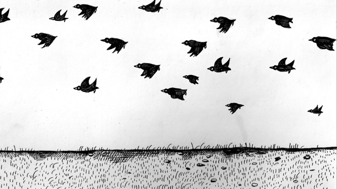 There's Too Many Of These Crows Trailer - YouTube