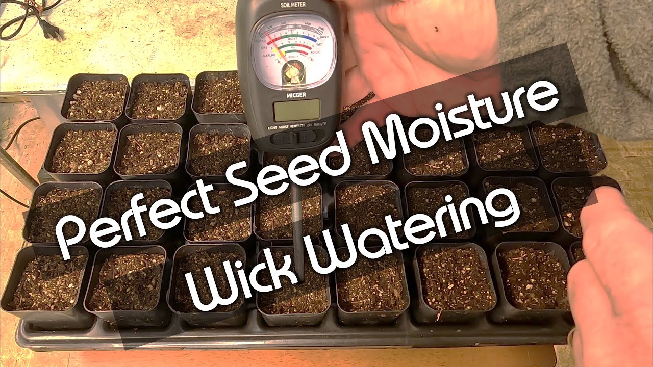 Precise No-Worry Watering Method for Garden Seed - YouTube