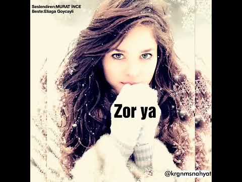 Yalnis insanlar coxdur bu heyatda sizce duzdur?