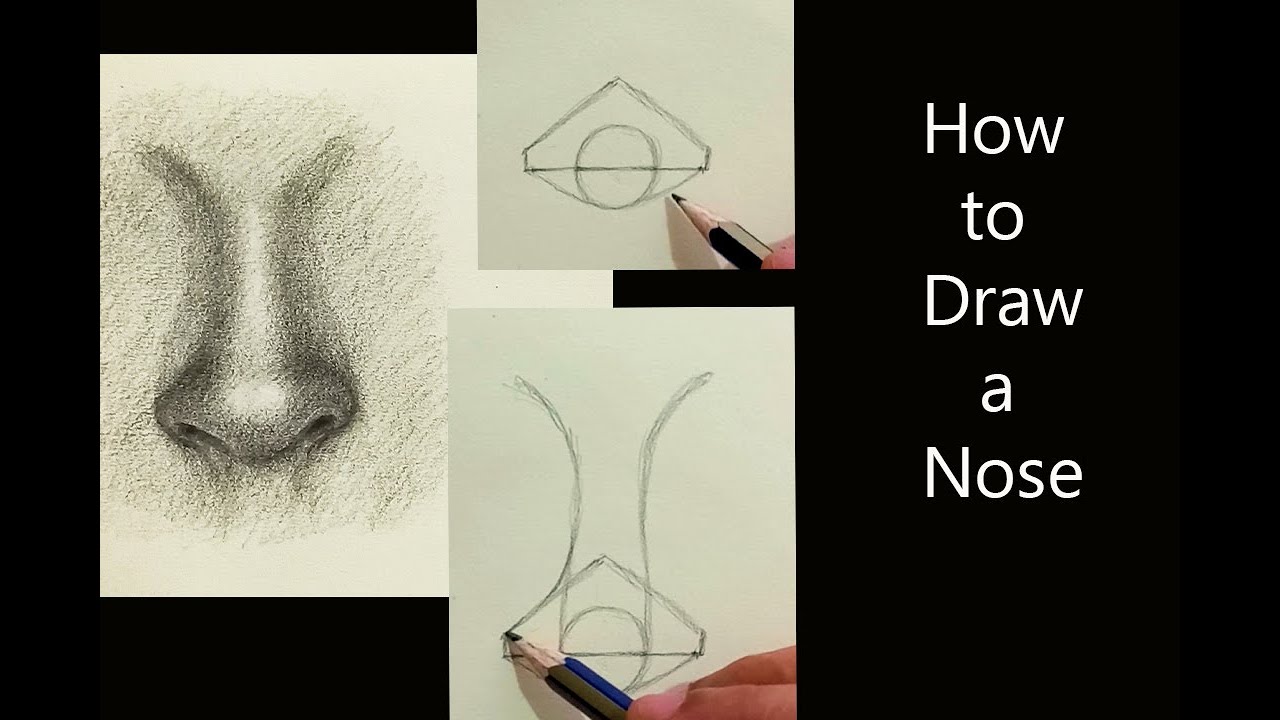 How to Draw a Nose. Nose drawing step by step. - YouTube