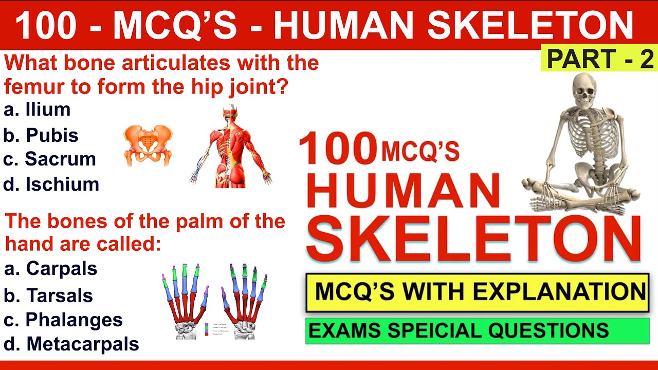 100 human skeleton mcqs | part 2 | human skeleton mcqs question and ...