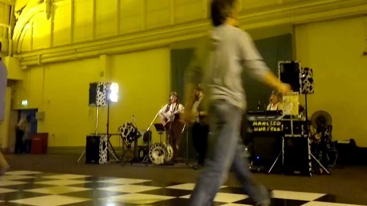 Mangledwurzels At Bristol Cider Festival - YouTube