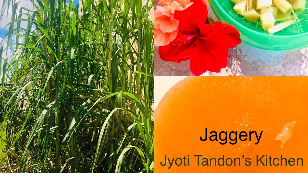 How to Make Jaggery at Home| Fresh Homemade Jaggery Recipe| घर पर ...