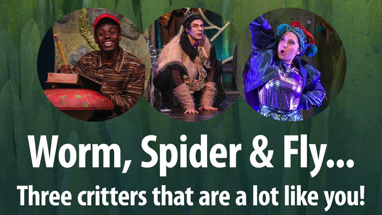 Sneak Peek of DIARY OF A WORM, A SPIDER & A FLY at DCT - YouTube