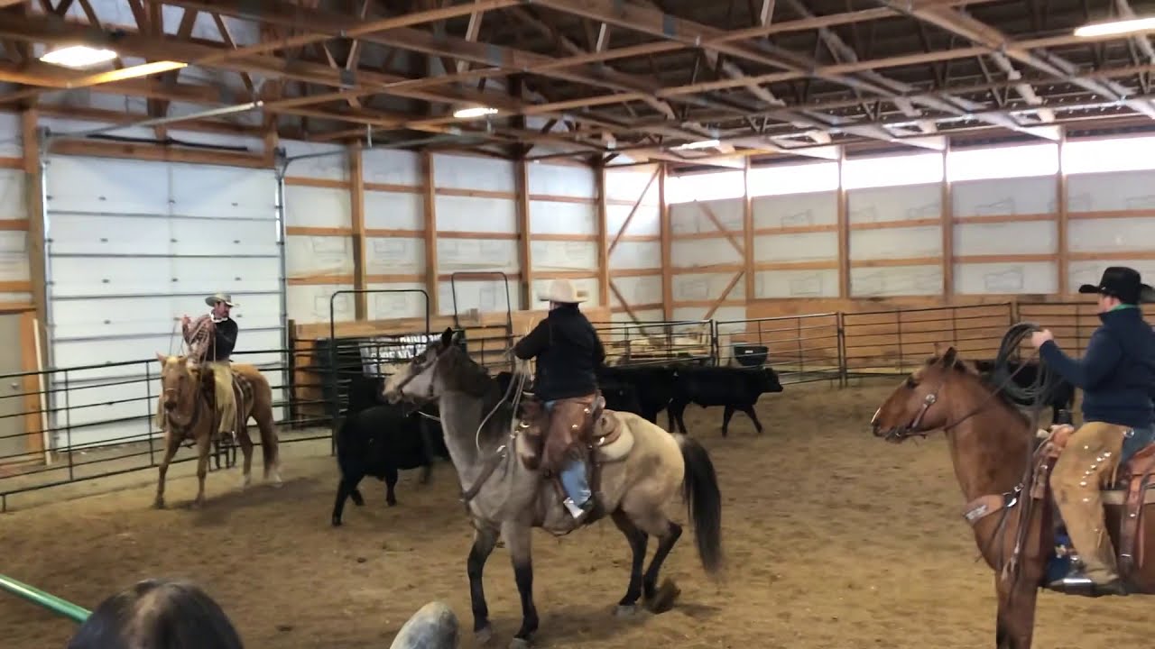 2018 Big Loop Roping 2 - YouTube