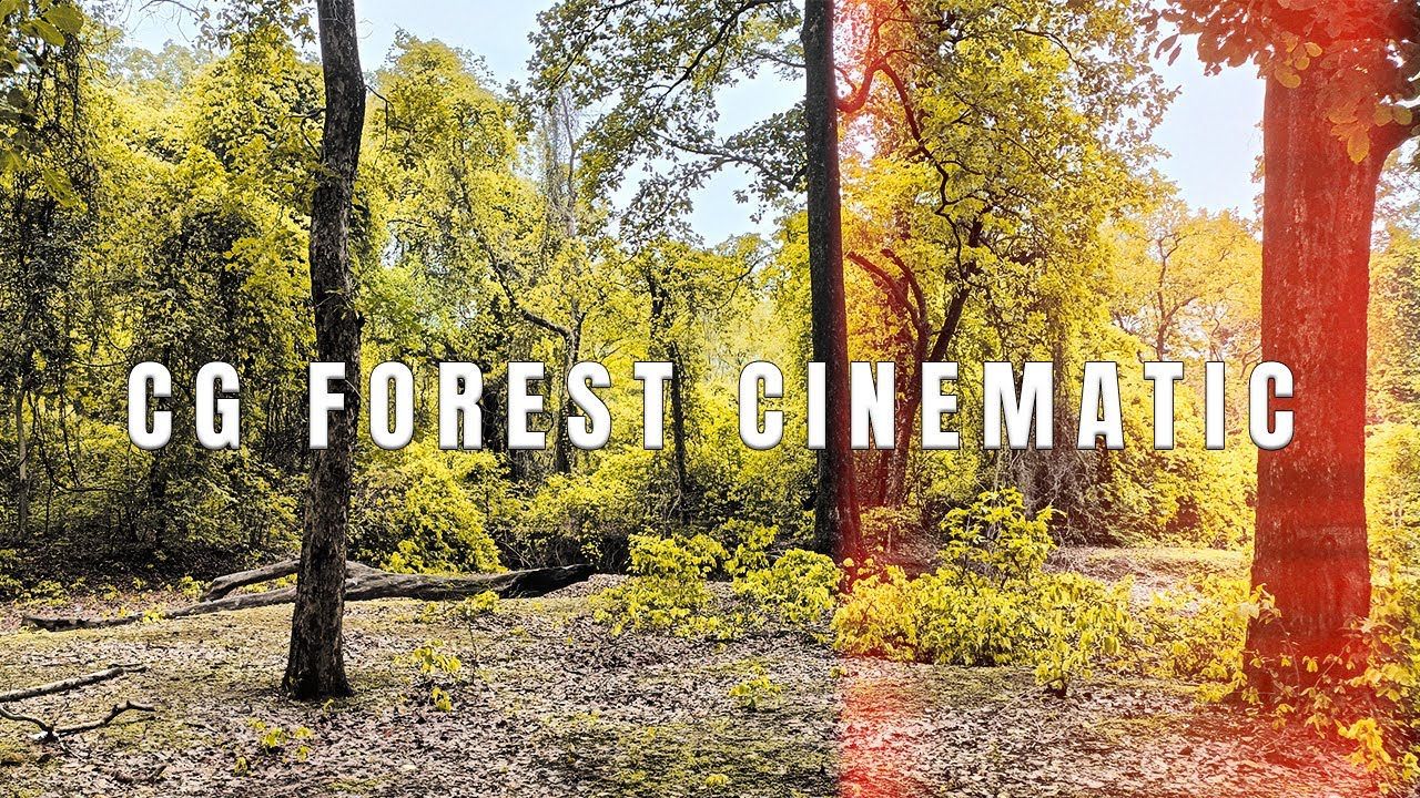 Chhattisgarh Forest Video Cinematic | छत्तीसगढ़ के जंगल | Cinematic ...