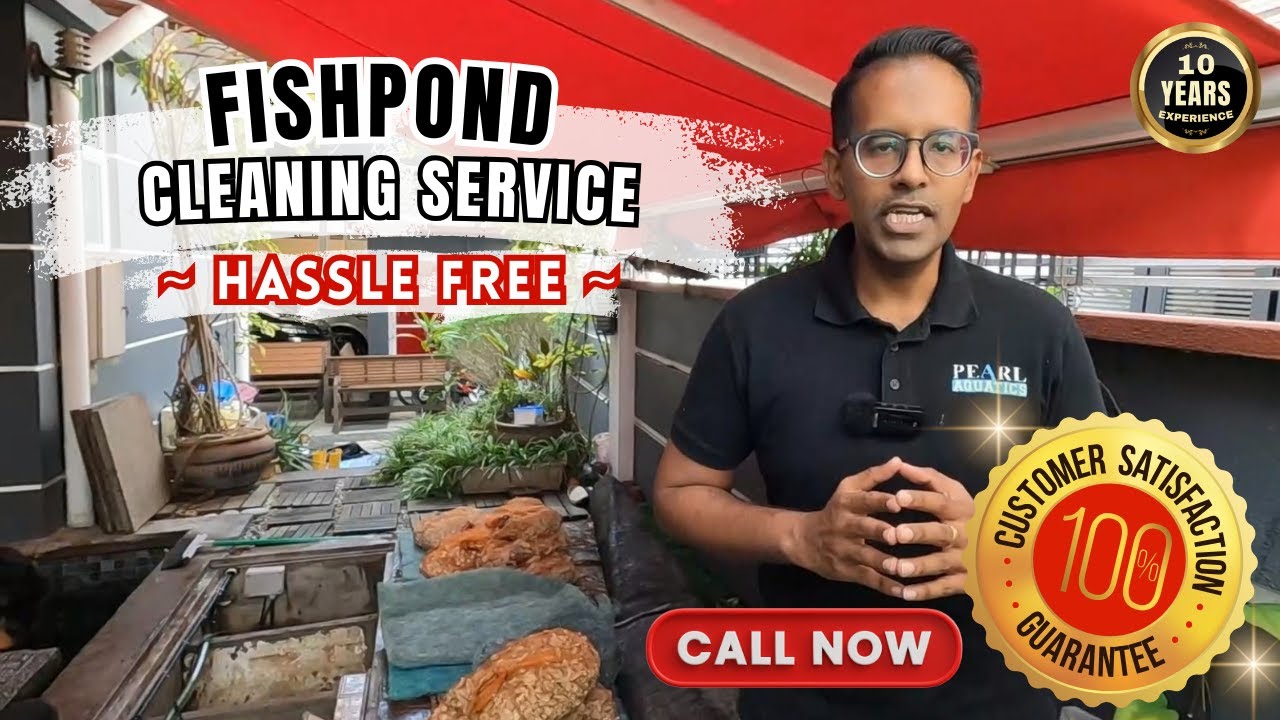 Professional Fishpond Cleaning and Maintenance Service | 100% ...