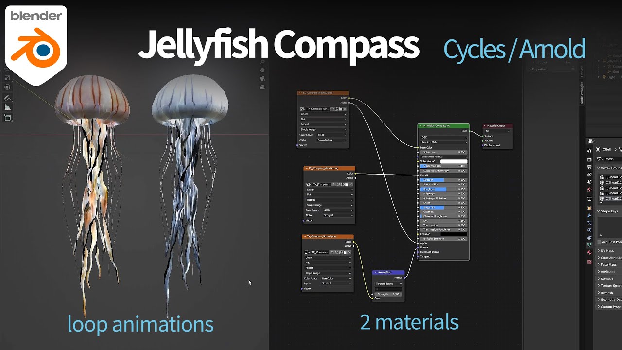 Jellyfish Compass Blender Project - YouTube