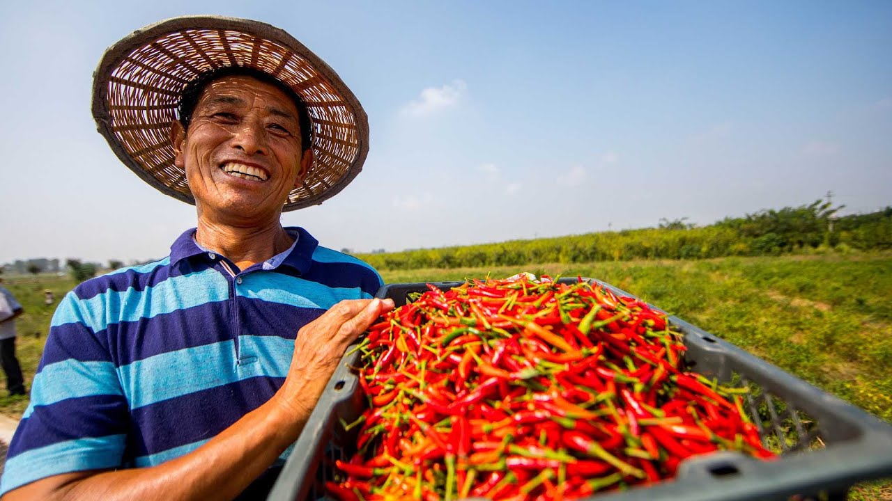 How China lifted 100 million rural poor out of extreme poverty within 8 ...