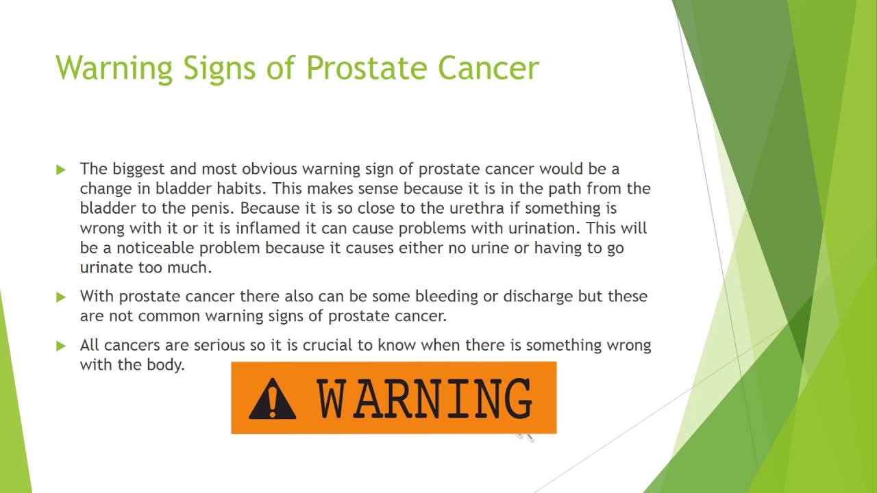 CLC Project - YouTube