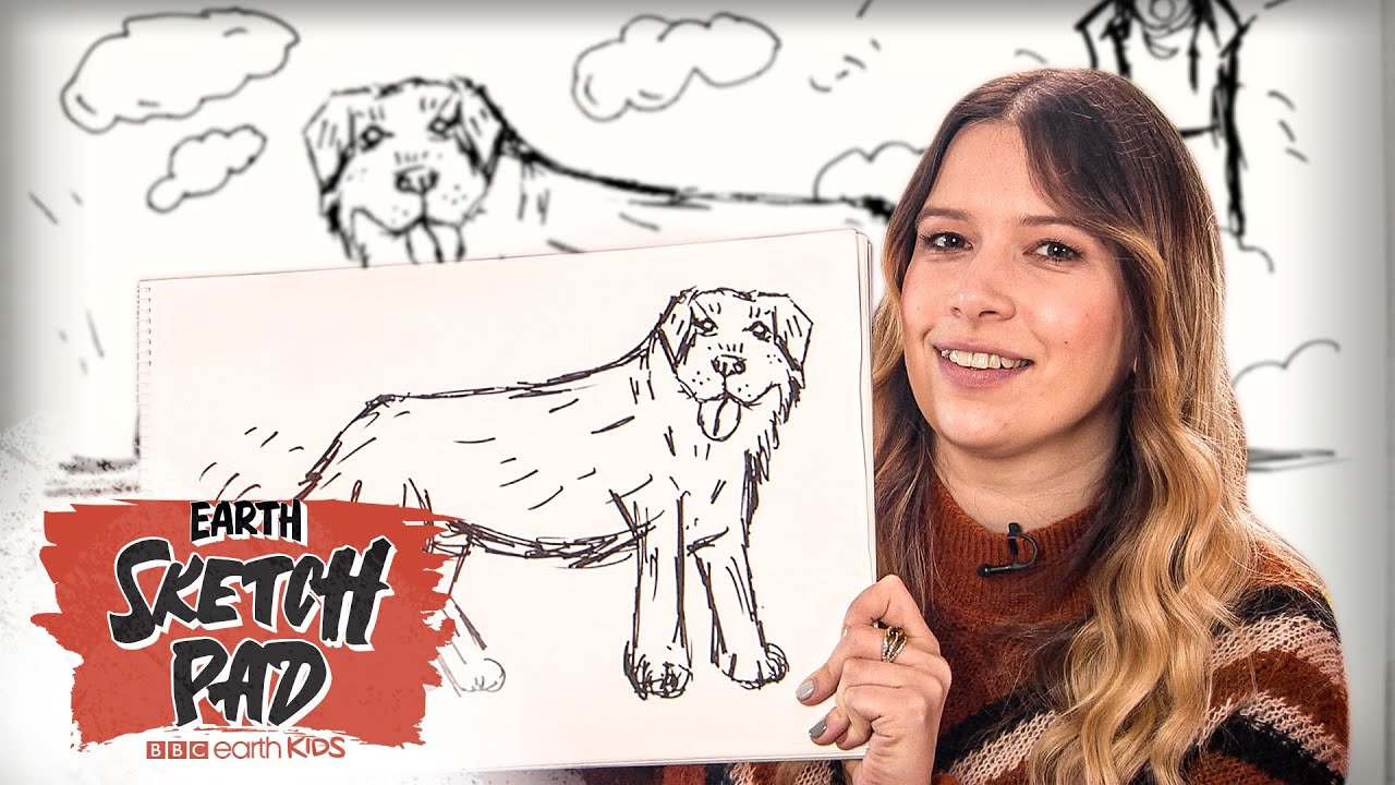 How to Draw a Dog in 3 Minutes! | Earth Sketch Pad | BBC Earth Kids ...