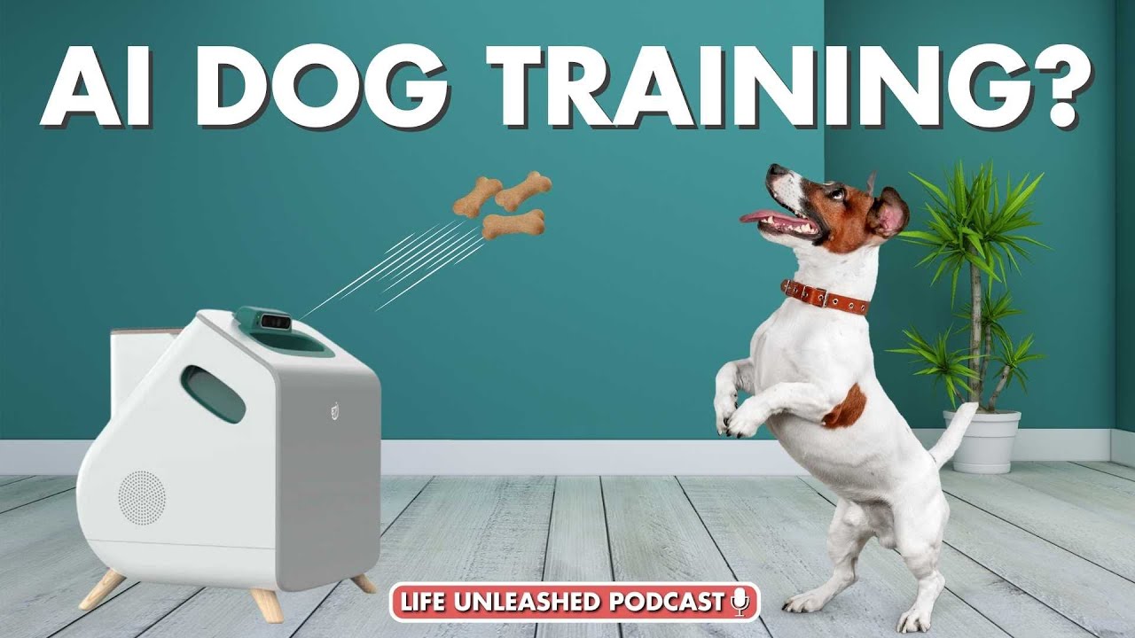 AI Dog Training?!? | Companion AI with John Honchariw - YouTube