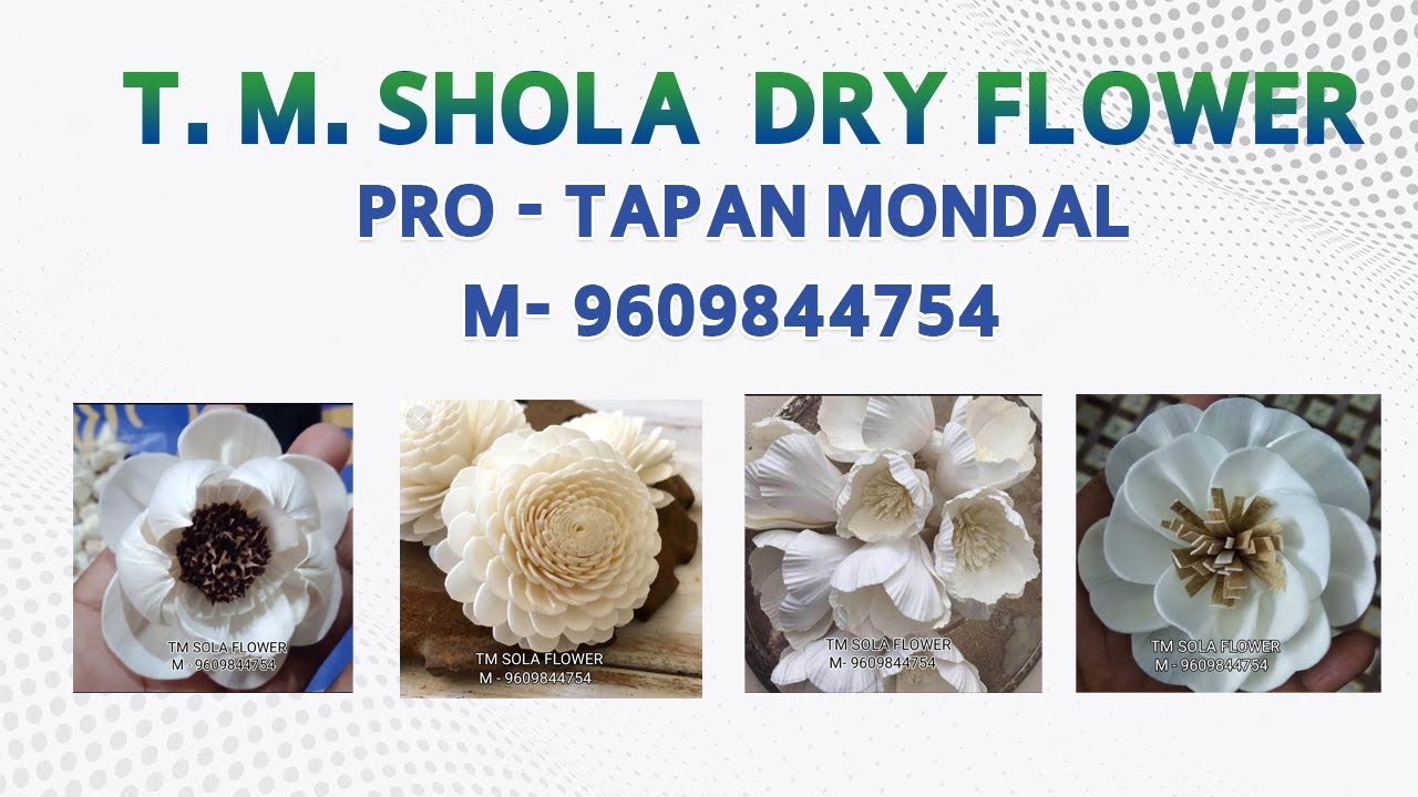 T. M. SHOLA DRY FLOWERS | TAPAN MONDAL | MAHESHPUR | SHOLA FLOWERS ...