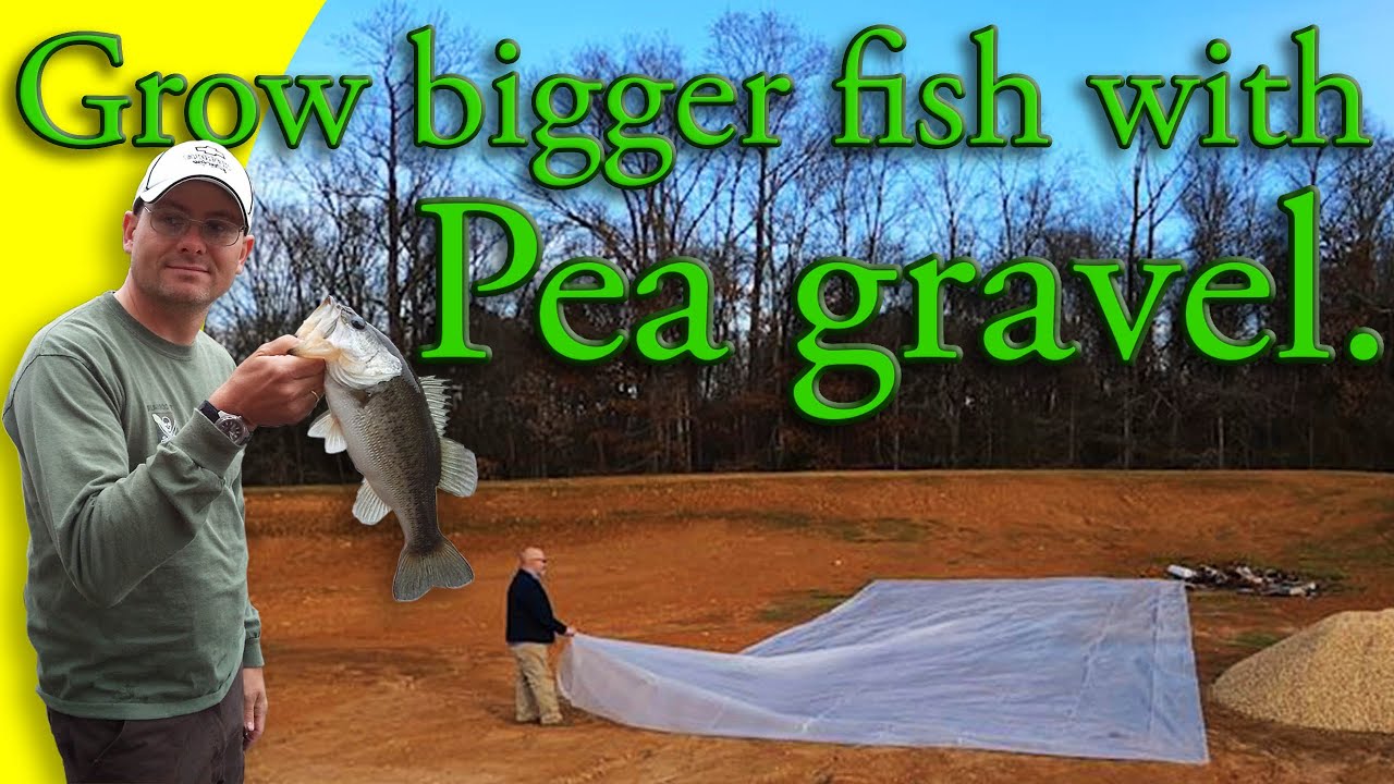 Digging a pond in clay soil, and improving the spawning season with ...