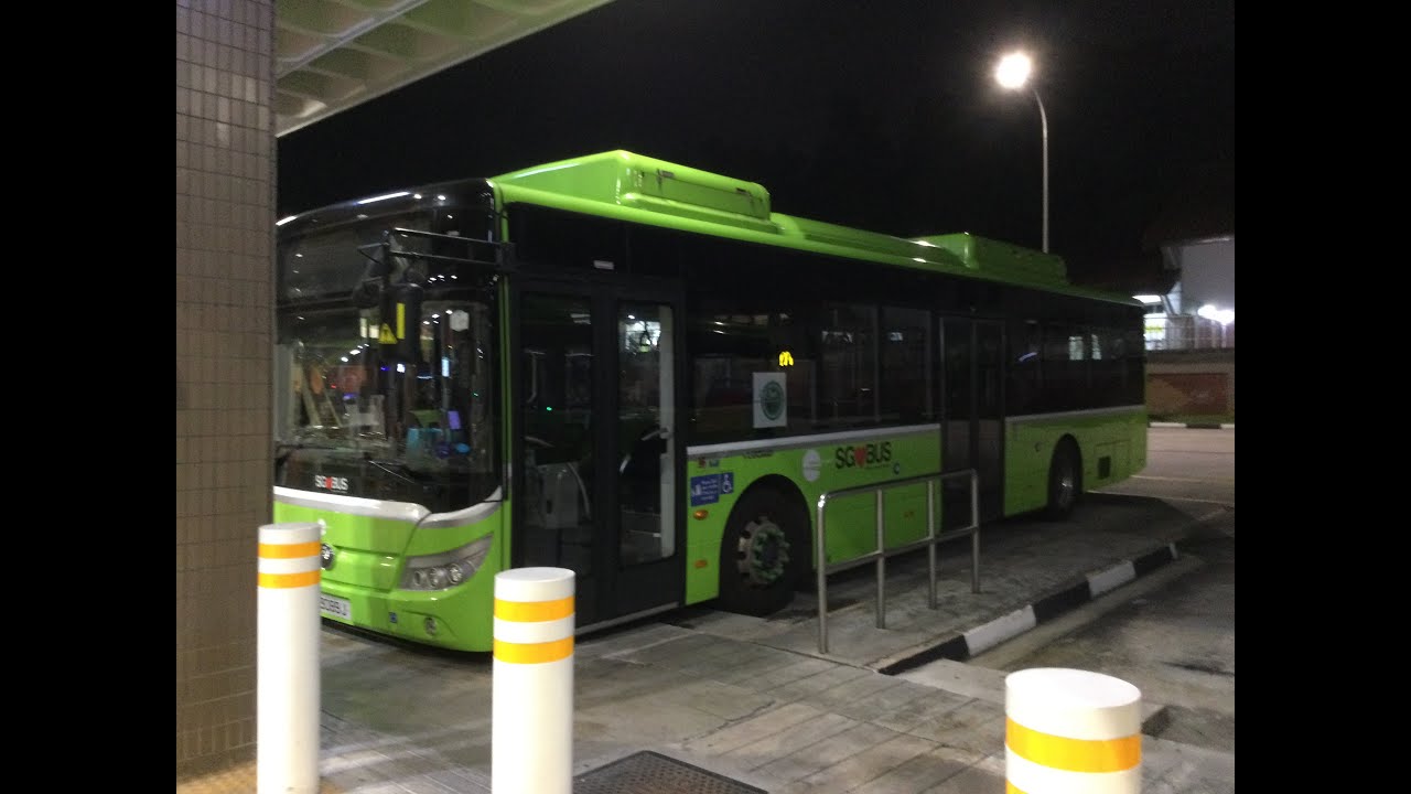 TTS Bus Service 77 [SG3099J]: S'pore Botanic Gdns → Promenade Stn/Pan ...