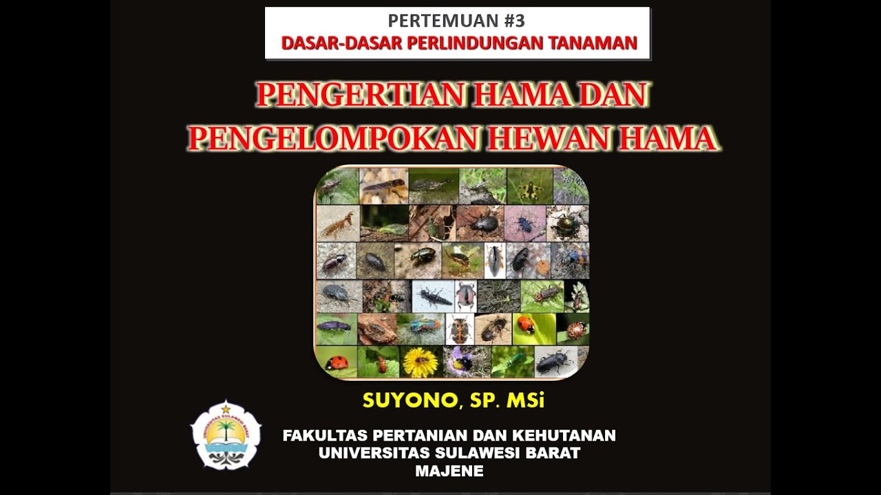 MK. DDPT #3_Pengertian Hama & Pengelompokan Hewan Hama - YouTube