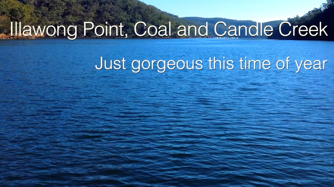 Illawong Point, Coal and Candle Creek looking Gorgeous this Time of ...