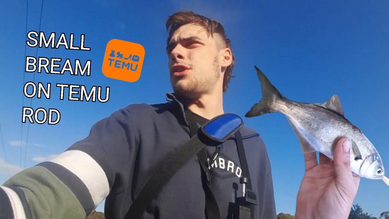 I brought temu rods and reels and caught a baby mullet! - YouTube