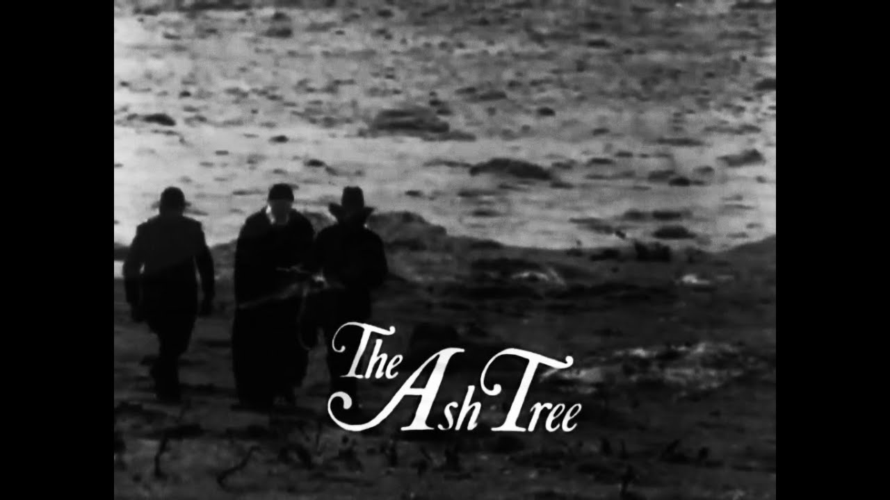 The Ash Tree 1975 - YouTube