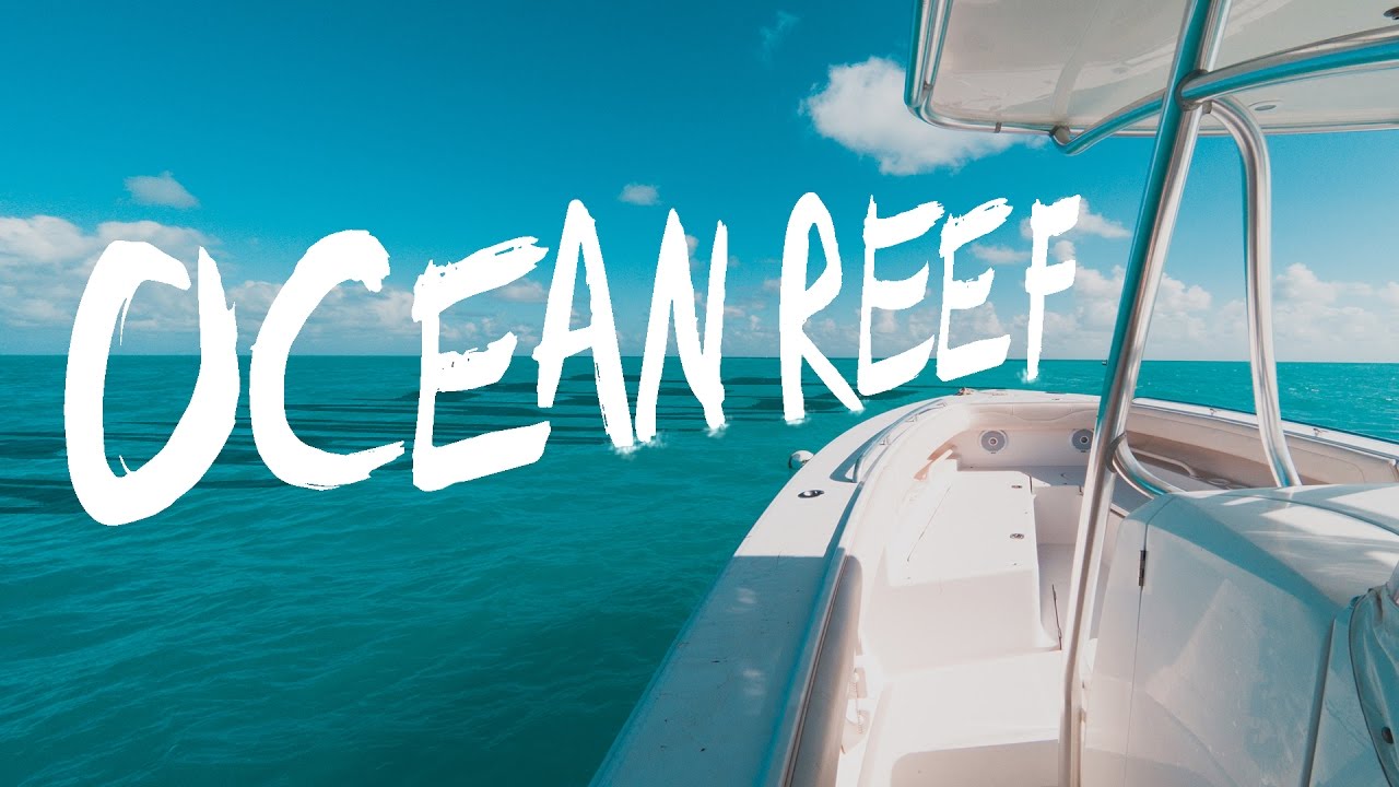 OCEAN REEF, FLORIDA | 1 WEEK IN 60 SECONDS - YouTube