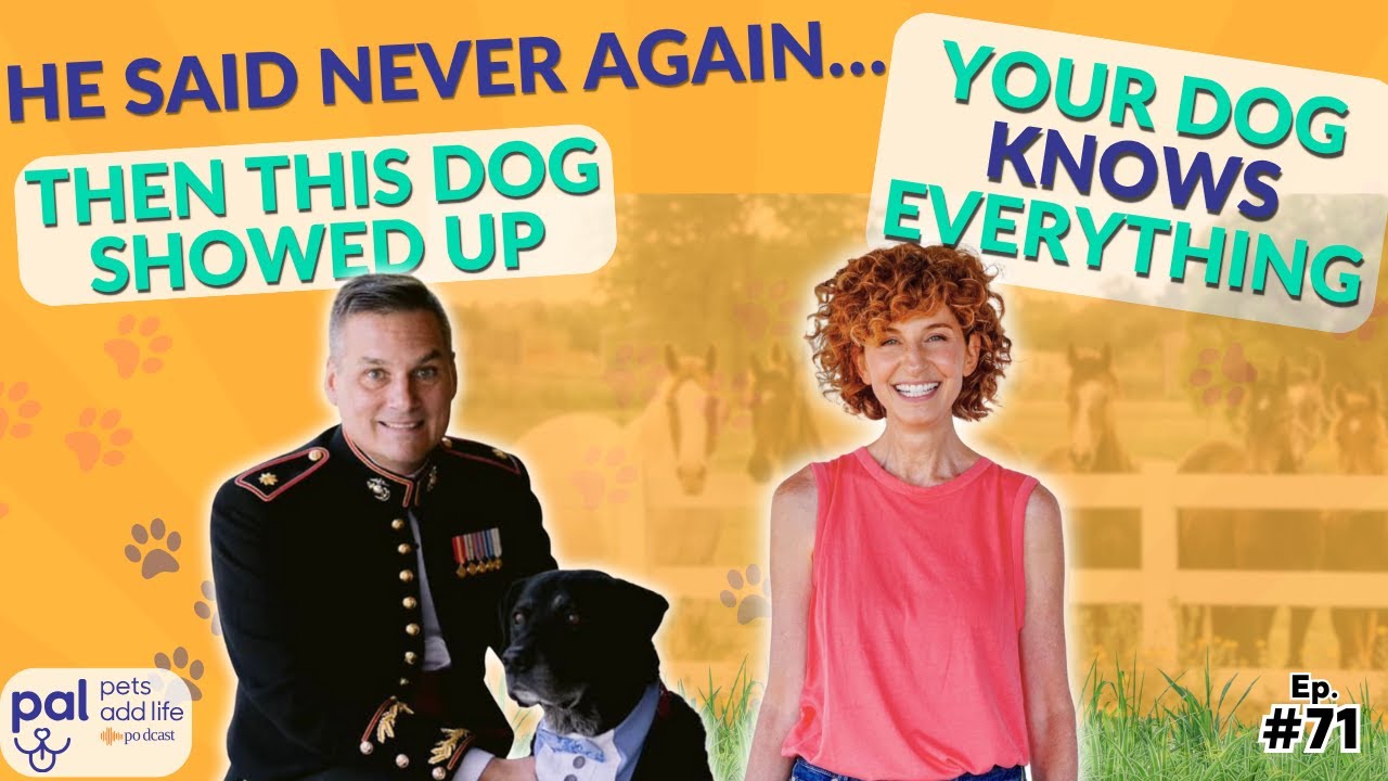 Your Pet’s Trying to Talk to You (Here’s What You’re Missing) | Pets ...