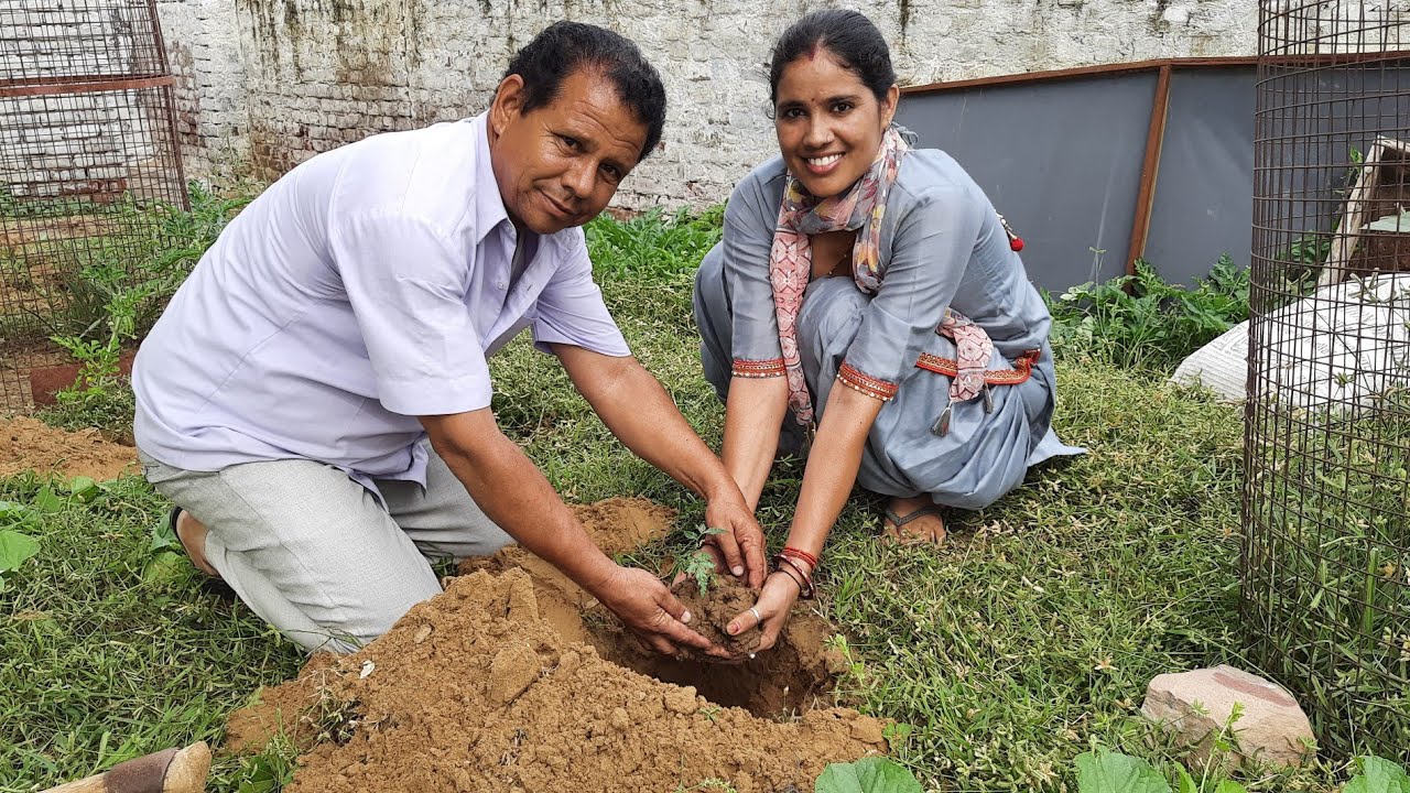 aaj podha ropan kyo kiya🏝 - YouTube